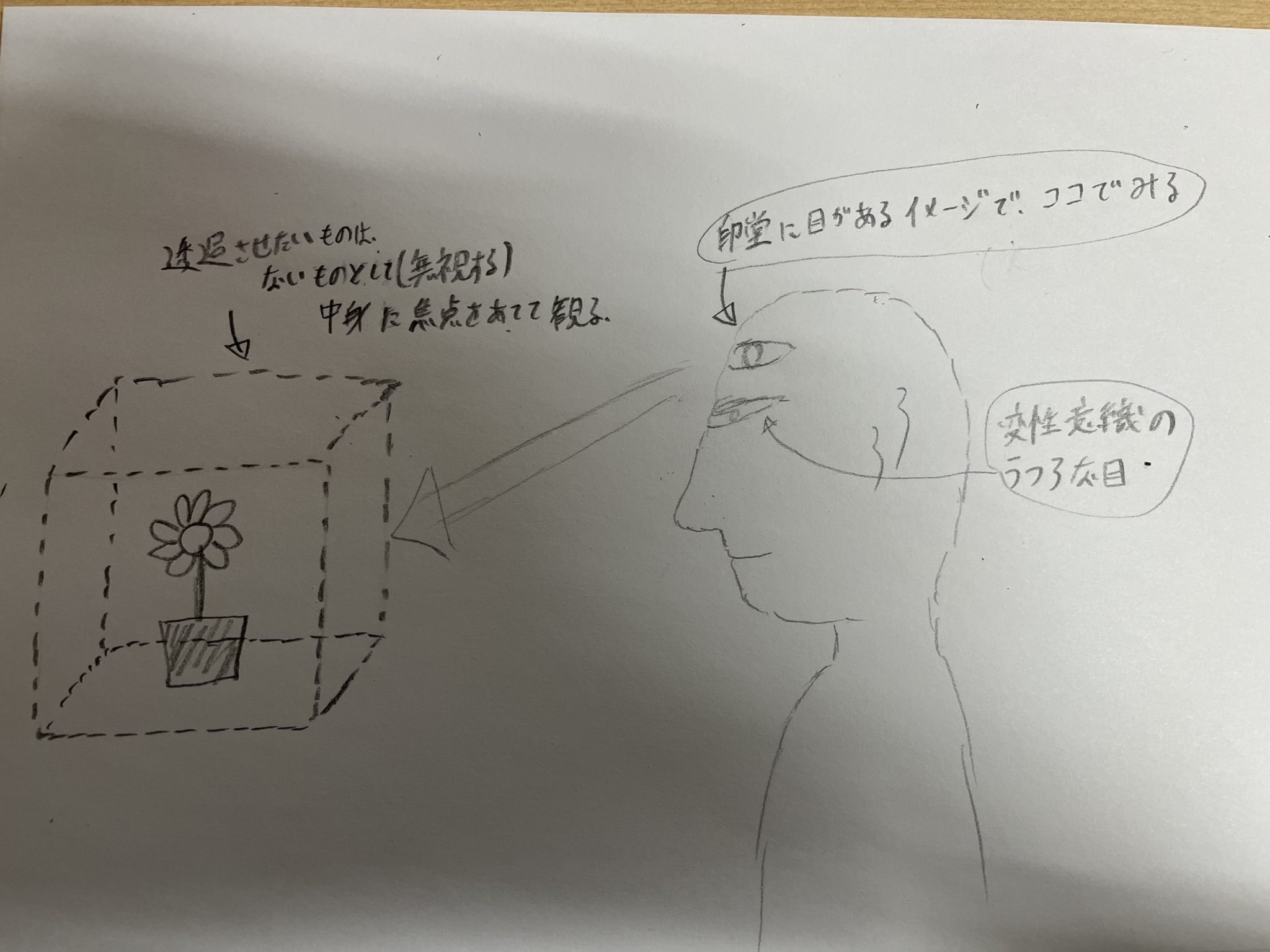 図1 物を透過させて観る | ryuta-projectssl